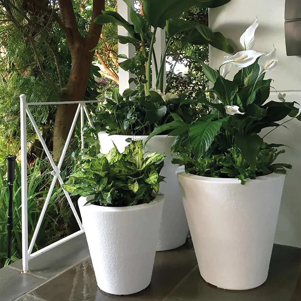 The Ultimate Guide to Using White Self-Watering Planters | lifestylemanor